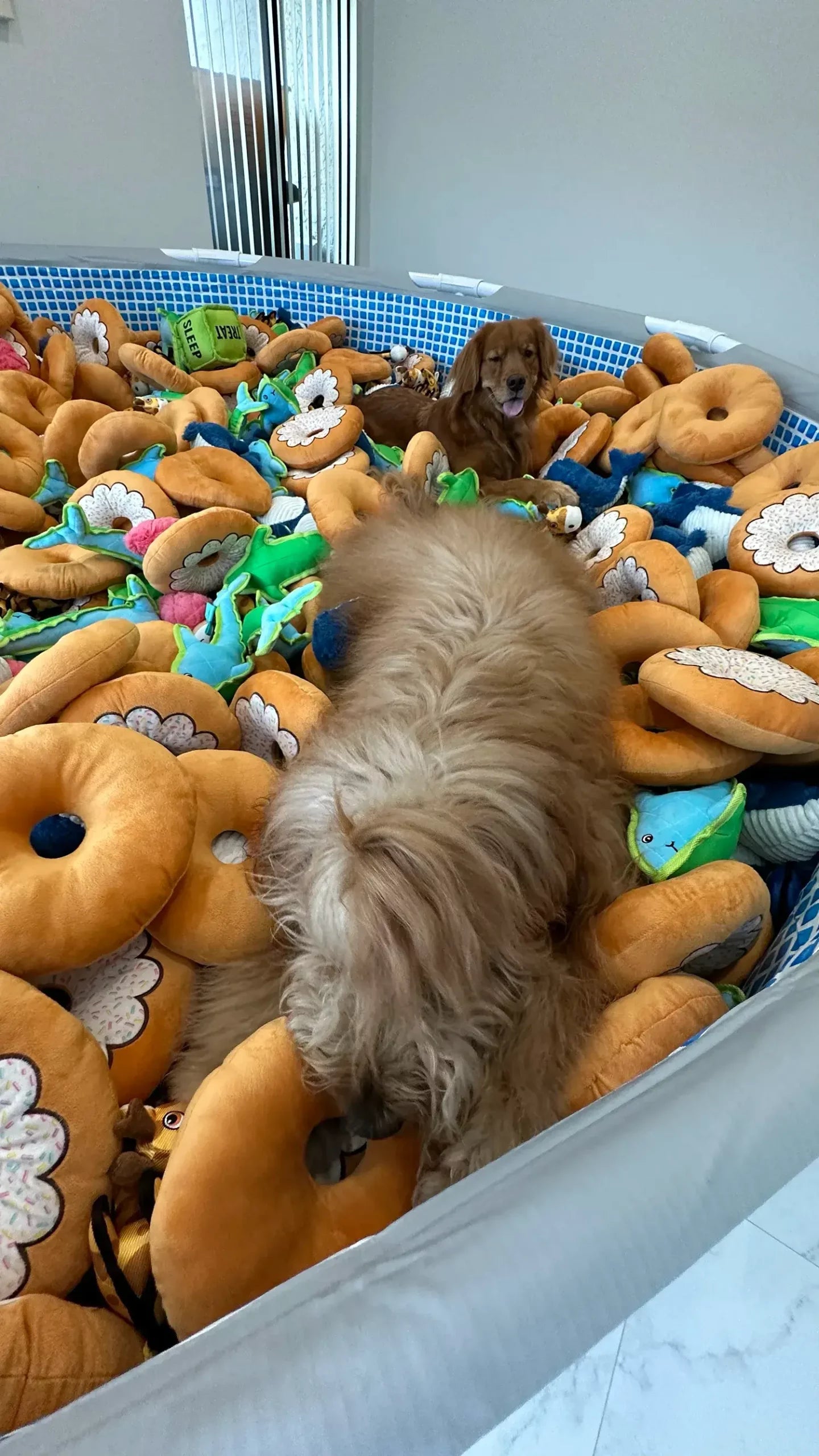 Brodie's Favorites – Unlimited Toy Club